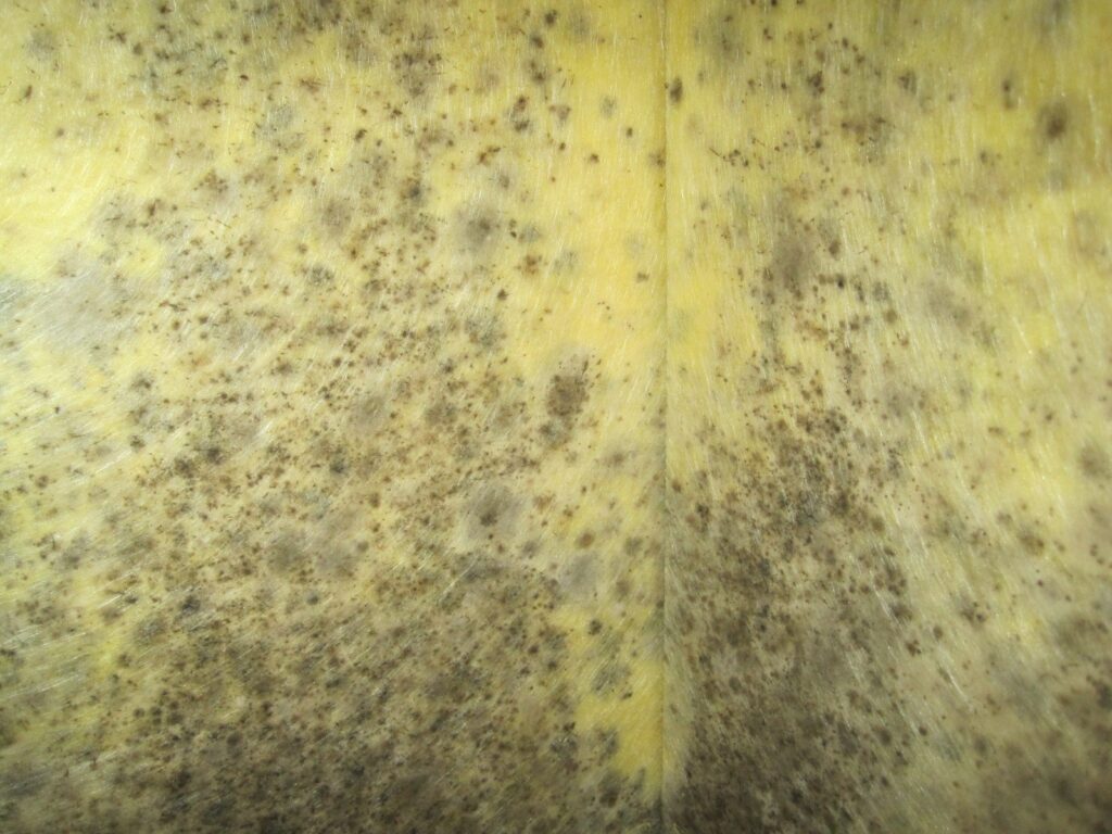 Duct Pressure Testing - What Is It and Why Does It Matter?